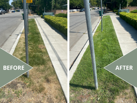 Landscape Moisture Manager - Madrone Landscape