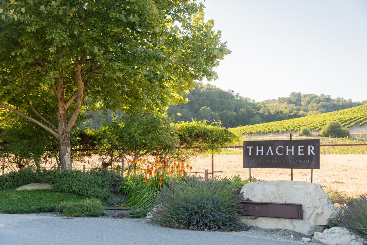 Thacher Winery - Madrone Landscape