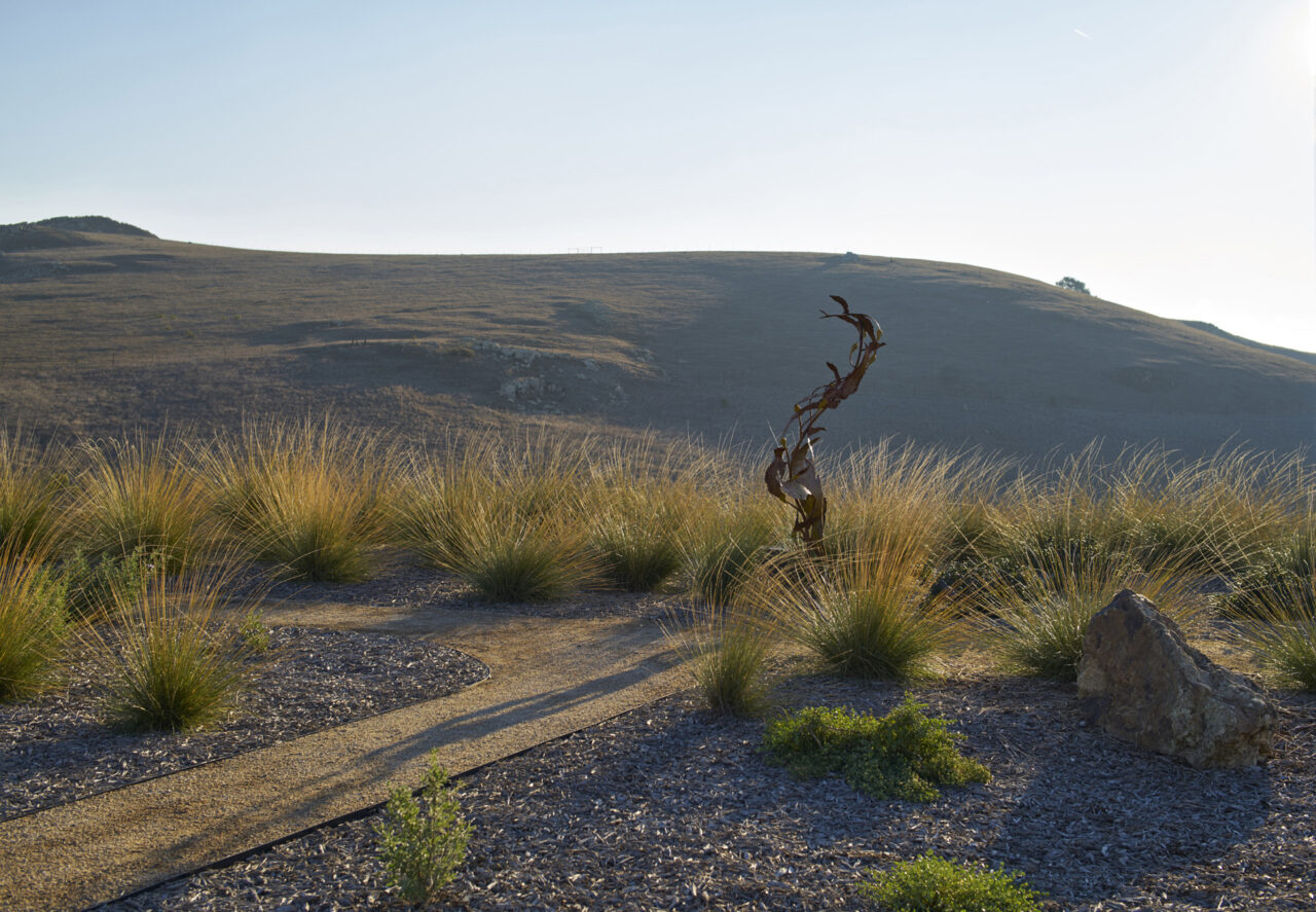The Secret to Creating a Beautiful Outdoor Space - Madrone Landscape