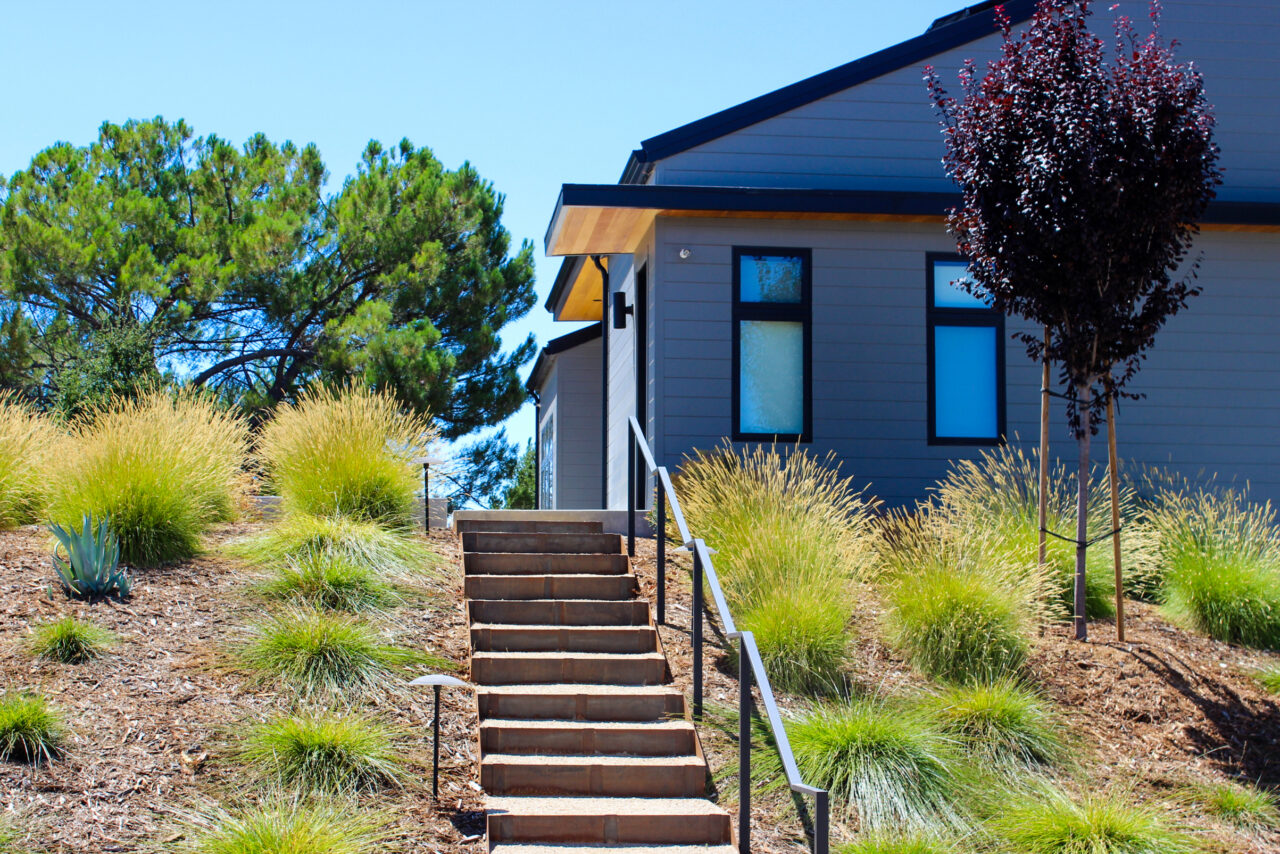 Modern Vineyard Overlook | Madrone Landscape